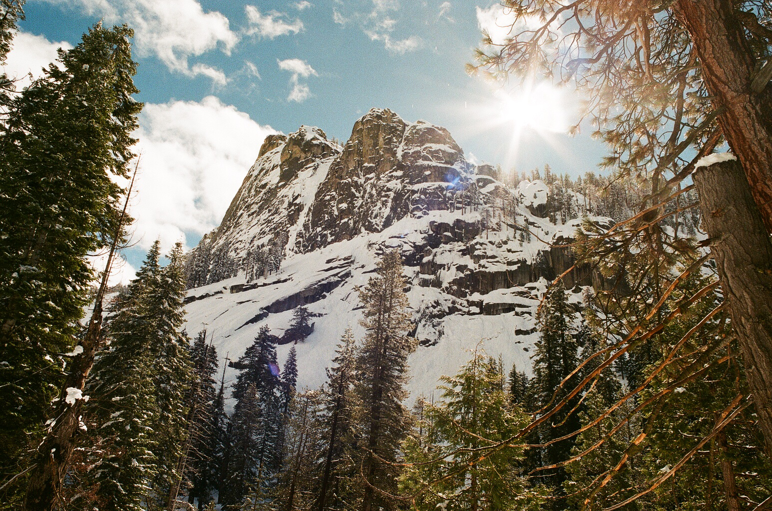 Sequoia National Park · The Wong Place